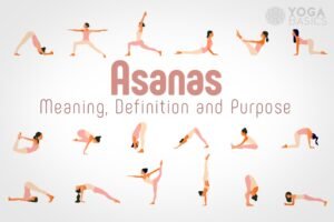 Asanas: Meaning, Definition and Purpose - Beyond Bend