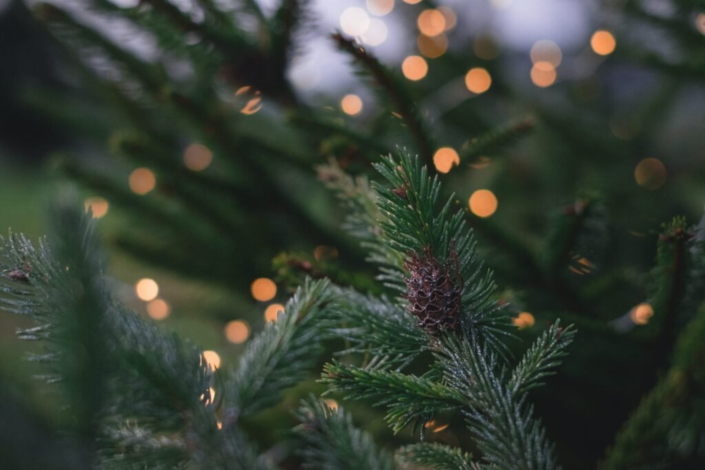 Surviving the Holidays: Stress-Free Tips for a Relaxing Season - Beyond ...