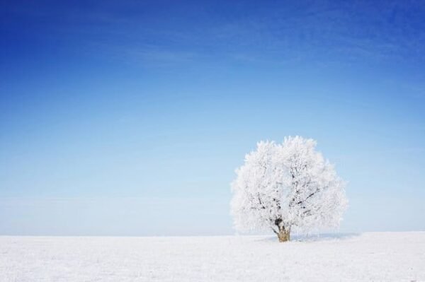 101 Inspirational Winter Quotes for an Uplifting and Less Stressful ...