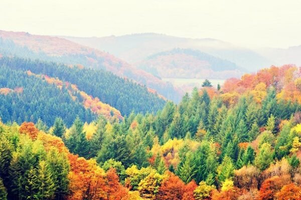 101 Inspirational Fall Quotes for a Positive, Motivated and Happy ...